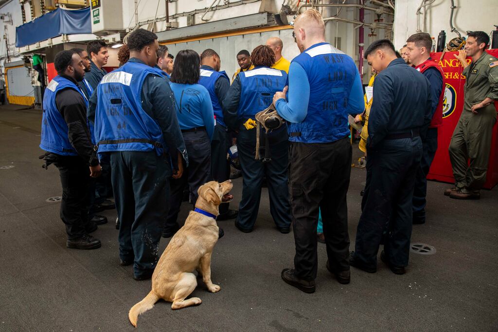 Doggone deployment: Navy carriers em-‘bark’ mental health pups