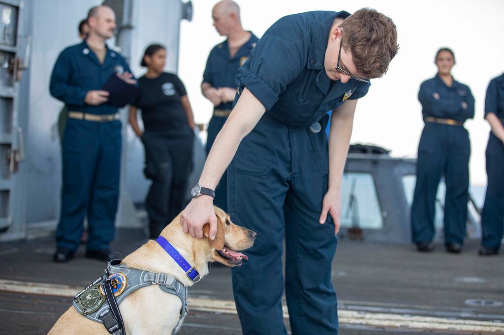 Doggone deployment: Navy carriers em-‘bark’ mental health pups