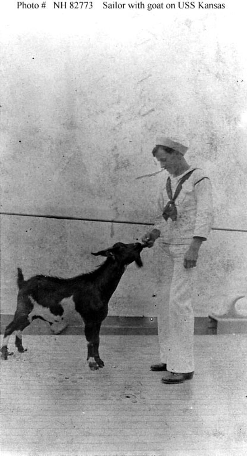 Goats on boats: A U.S. Navy tradition