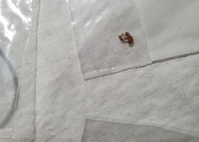 Sailors say this submarine has been ravaged by bedbugs